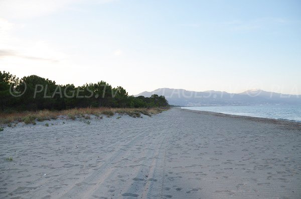 Plage Des Marines De Borgo Borgo 2B Corse PlagesTV Plage Des Marines De Borgo Borgo 2B Corse PlagesTV